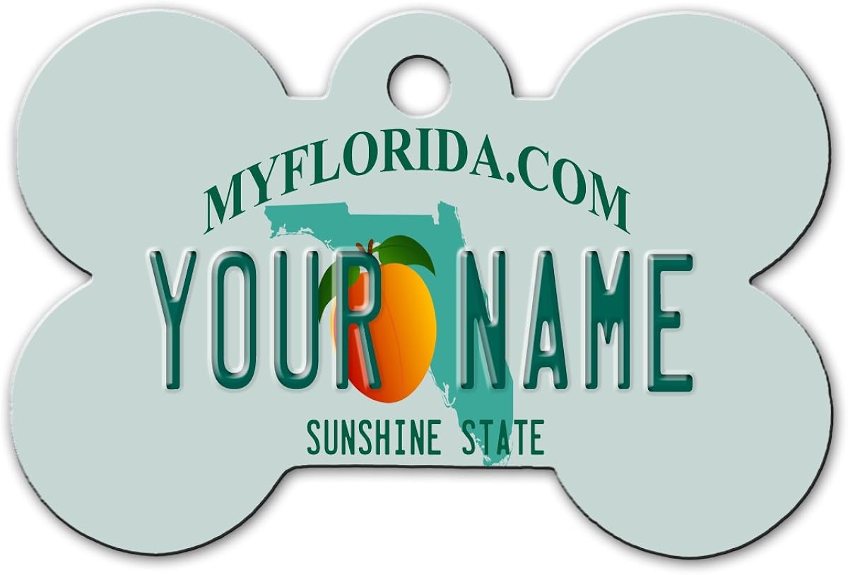 Amazon.com : BleuReign(TM Personalized Custom Name Florida State ...