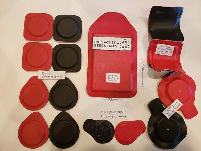 Magnets for biomagnetism Dr. Goiz biomagnetic therapy, GREAT VALUE ...