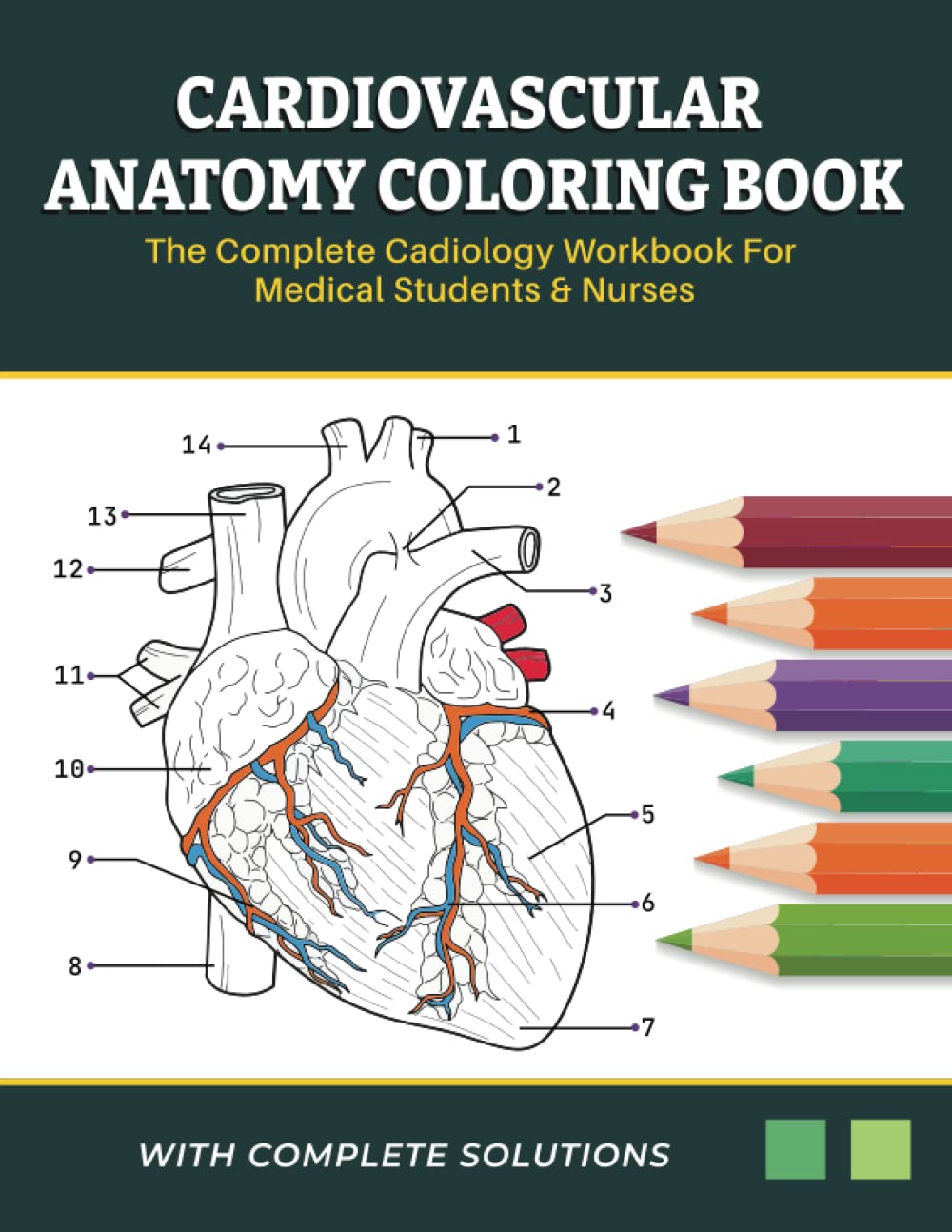 Mua Cardiovascular Anatomy Coloring Book - The Complete Cardiology ...