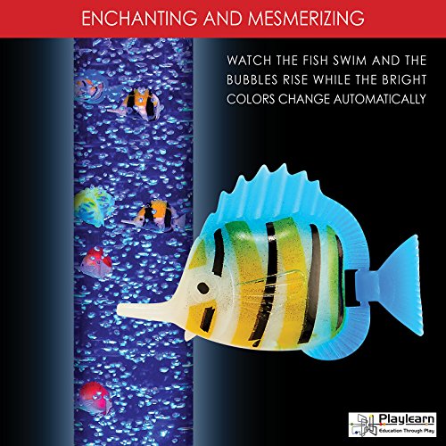 Lighted Bubble Tubes With Fish