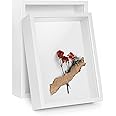 Amazon.com - Shadow Boxes 11 x 14 in, 2 Pcs White Shadow Boxes Frame ...