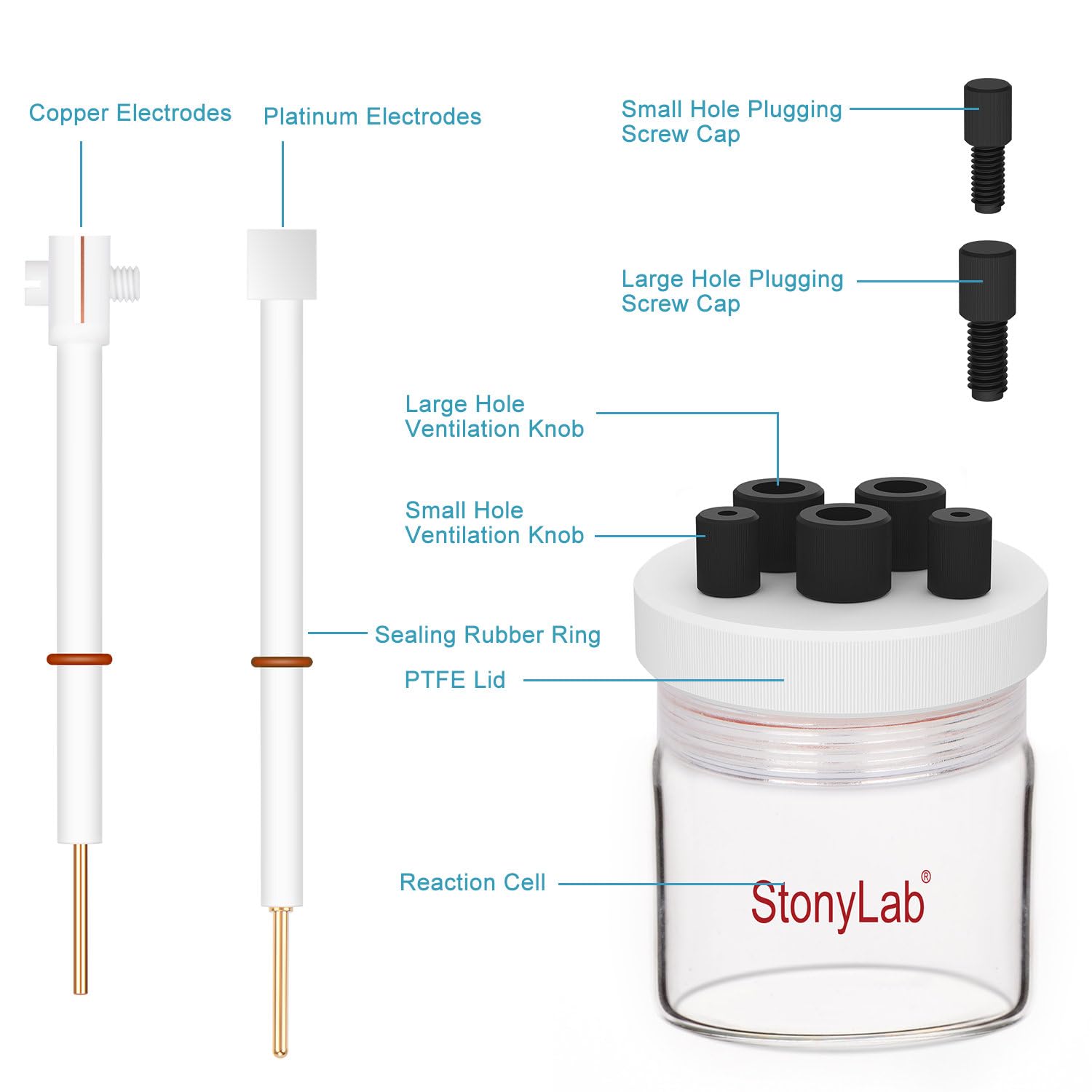 Mua stonylab Electrolytic Cell, Borosilicate Sealed Electrochemical ...