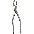 Amazon.com: Dental Extracting Forceps Extracting Forceps #88R Upper ...