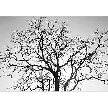 Withered Tree Wallpaper