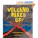 Volcano Wakes Up!: Lisa Westberg Peters, Steve Jenkins: 9781250073204 ...
