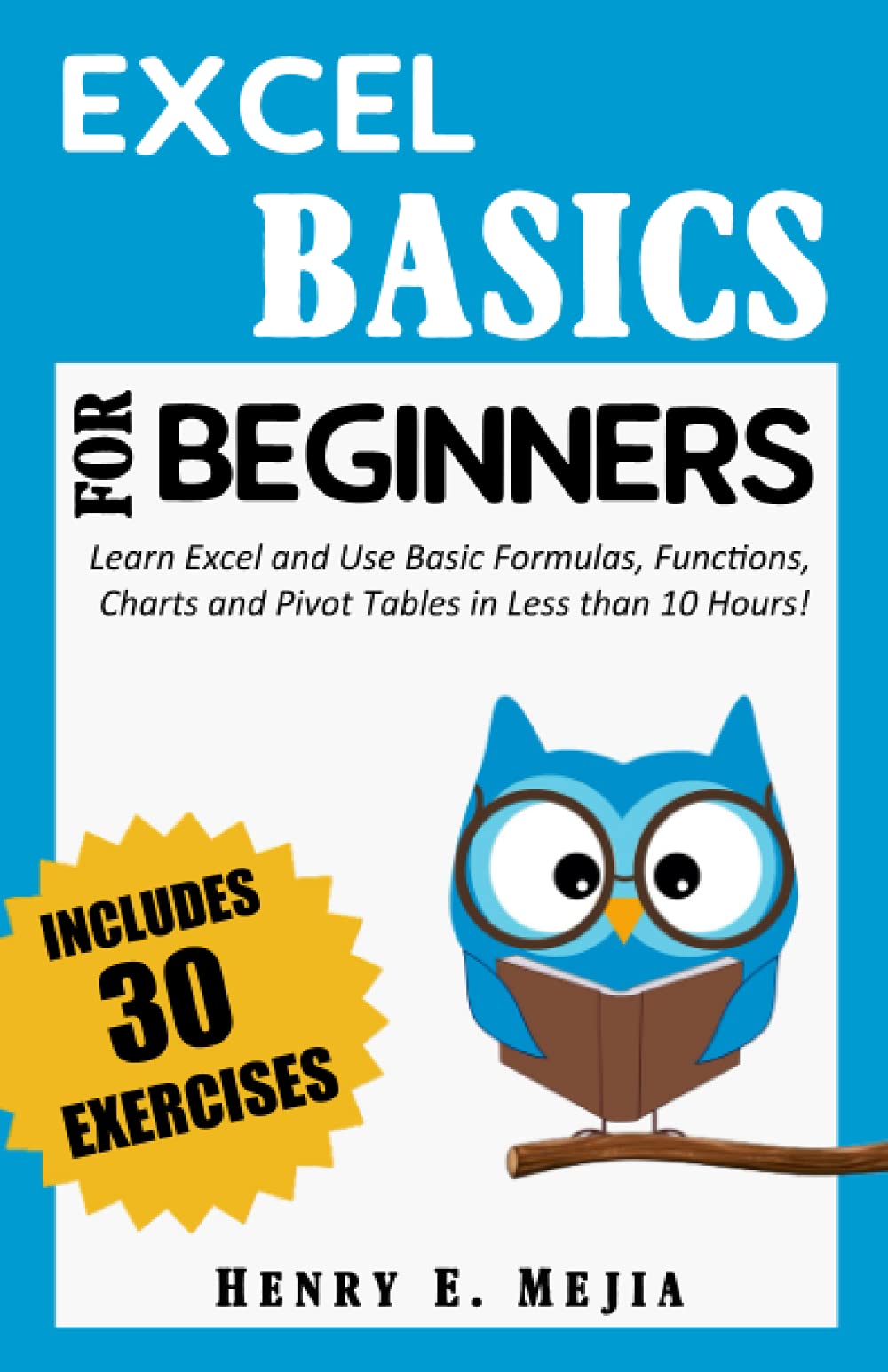 Mua Excel Basics For Beginners Learn Excel And Use Basic Formulas