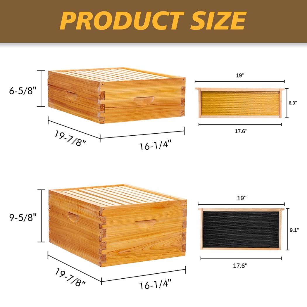 Mua 10-Frame Langstroth Beehive Dipped in 100% Beeswax, Complete Bee ...