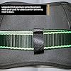 AFP Heavy-Duty 2 D-Ring Waist Body Belt w/Tongue Buckle & Hi-Viz ...