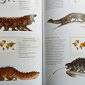 Amazon.com: Dracopedia Field Guide: Dragons of the World from ...