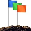 Zozen 100Pack Marking Flags, Orange&Green&Blue, Writable | Marker Flags ...