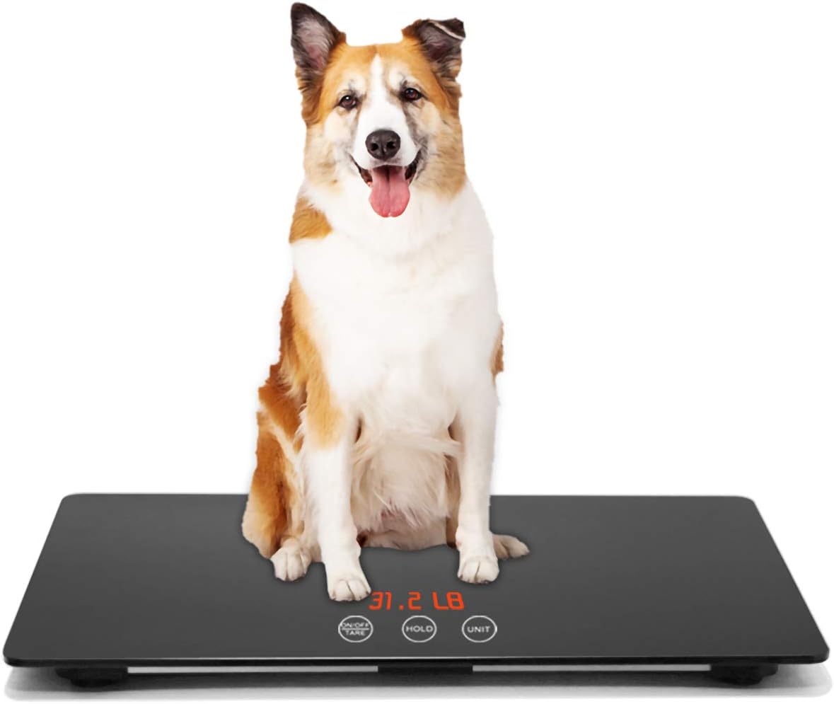 MINDPET-MED Digital pet scale for dogs, animal scale platform, 3 ...