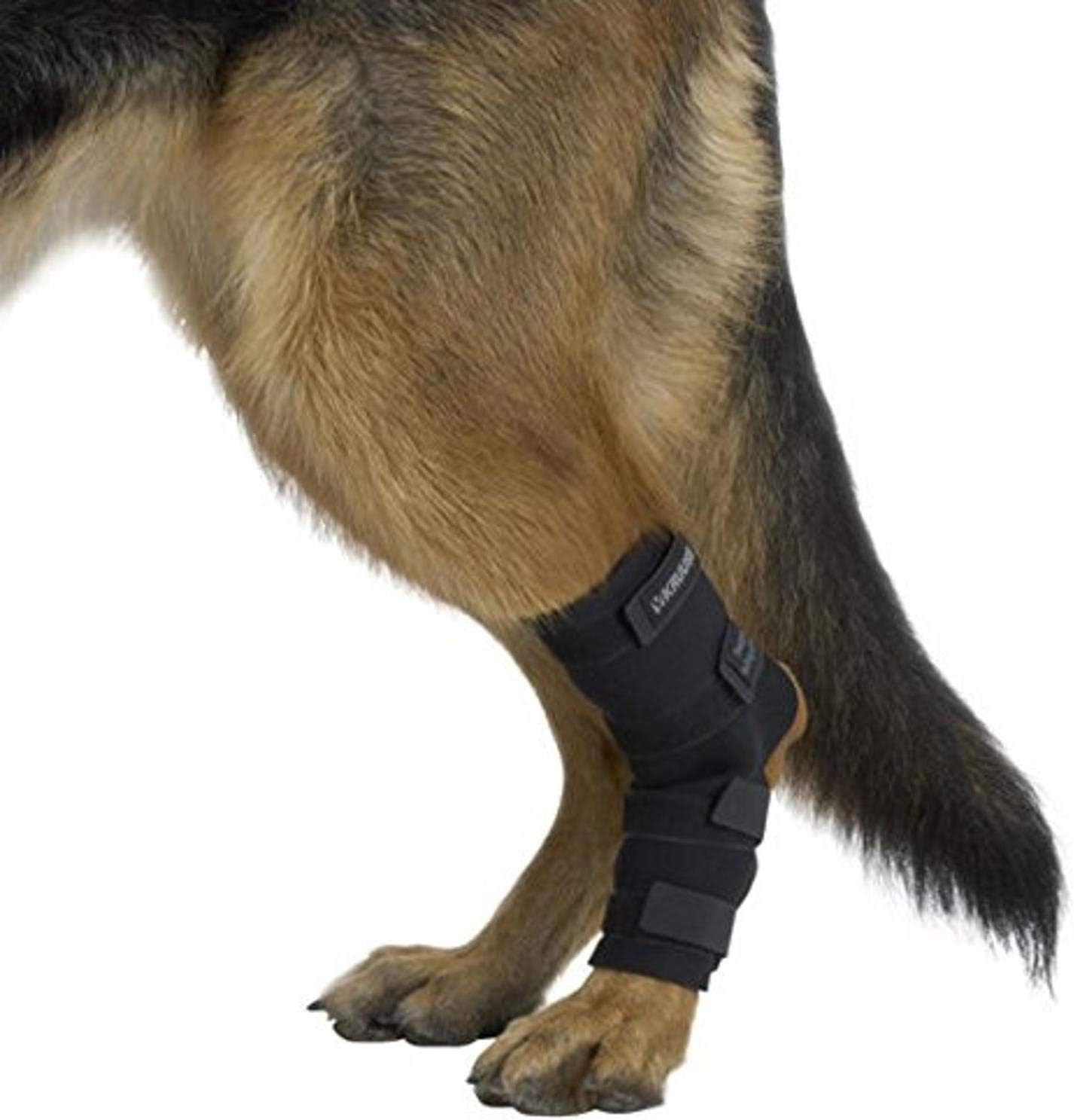 Kruuse Rehab Hock Protector for Dogs, Small: Amazon.co.uk: Pet Supplies