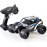 HAIBOXING RC Cars 1:18 Scale 4WD Off-Road Buggy 36+KM/H High Speed ...