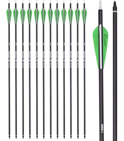 Green Compound Bow Arrows