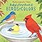 Baby's First Book of Birds & Colors: Tildes, Phyllis Limbacher, Tildes ...