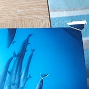 Blue Planet II: Amazon.co.uk: Honeyborne, James, Brownlow, Mark ...