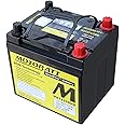 Amazon.com: MBTZ26RHD MOTOBATT 12V AGM ATV 4 Terminal Battery ...