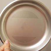 Amazon.com : MSR Alpine Plate : Camping Plates : Sports & Outdoors