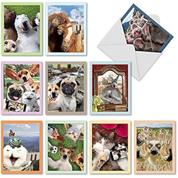 Amazon.com : Avanti Press Avanti 10-Count Christmas Cards, Reindeer ...
