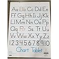 Amazon.com: School Smart Chart Tablet, 24 x 32 Inches, 1-1/2 Inch ...