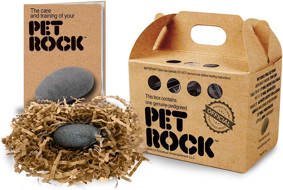 Pet Rock Minions The Rise Of Gru Pet Rock Otto 903 Funko Pop Vinyl 