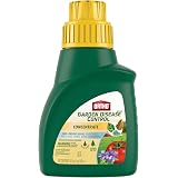Amazon.com : Ortho Rose & Flower Disease Control Concentrate, 16 oz ...