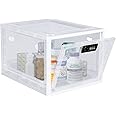 Amazon.com: Lalifebuss Medicine Lock Box, Medication Lockable Container ...