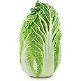 Amazon.com : Chinese Cabbage-Michihili/Napa Cabbage (500 Seeds) : Patio ...
