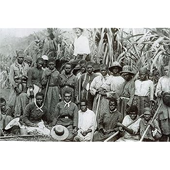 Amazon.com: 8 x 10 Old Vintage Photo Black-History-Former-Slaves 1880 ...
