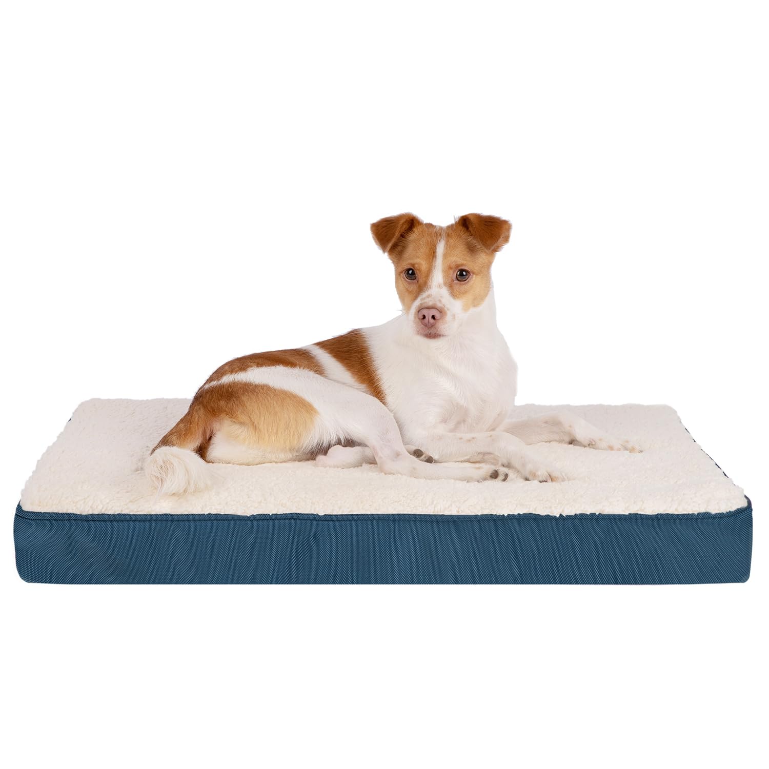 Best Pet Supplies Cute Dog Crate Mat Flat Bed with Waterproof Exterior ...