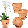 Amazon.com: FELISTORY 6 Inch Terracotta Orchid Pots with Holes and ...