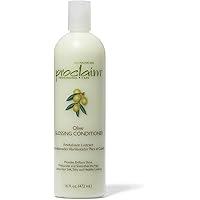 Amazon.com : Proclaim Olive Glossing Shampoo : Standard Hair Shampoos ...