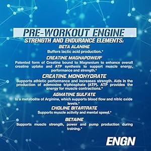 Evlution Nutrition ENGN Pre-Workout, Pikatropin-Free, 30 Servings ...