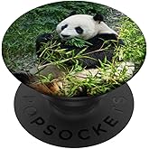 Amazon.com: Cute Sleeping Panda PopSockets PopGrip: Swappable Grip for ...