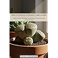 The Ultimate Lithops Care Guide: How to Grow Stunning Living Stones ...