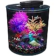 Marina iGlo 360 Aquarium Kit - 10 L (2.65 US gal), Blue,White, 10 l ...
