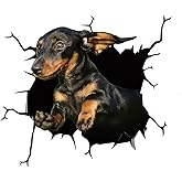 Amazon.com - 3D Dog Window Decals for Cars Funny Dog Decal Car ...
