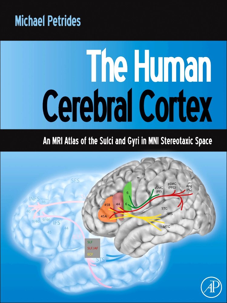 Mua The Human Cerebral Cortex: An MRI Atlas of the Sulci and Gyri in ...