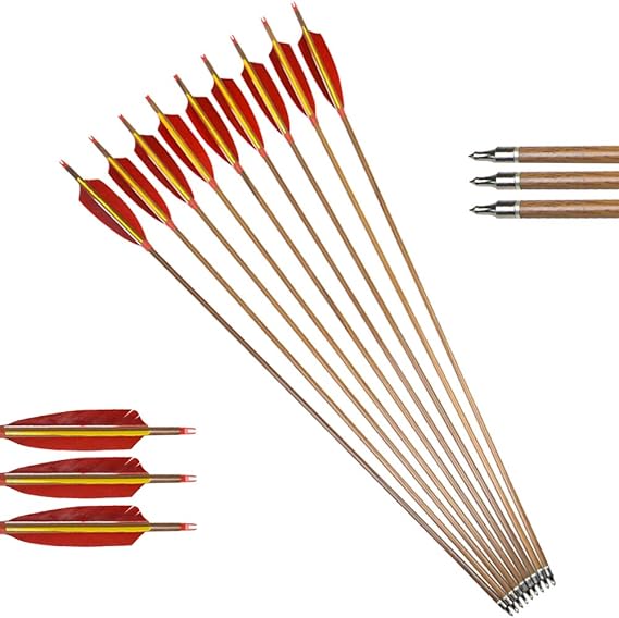 ZSHJG 30 Zoll Carbon Pfeile Pfeile für Bogenschießen Spine 340 ...