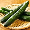 Amazon.com : TomorrowSeeds - Japanese Long Burpless Cucumber Seeds - 30 ...