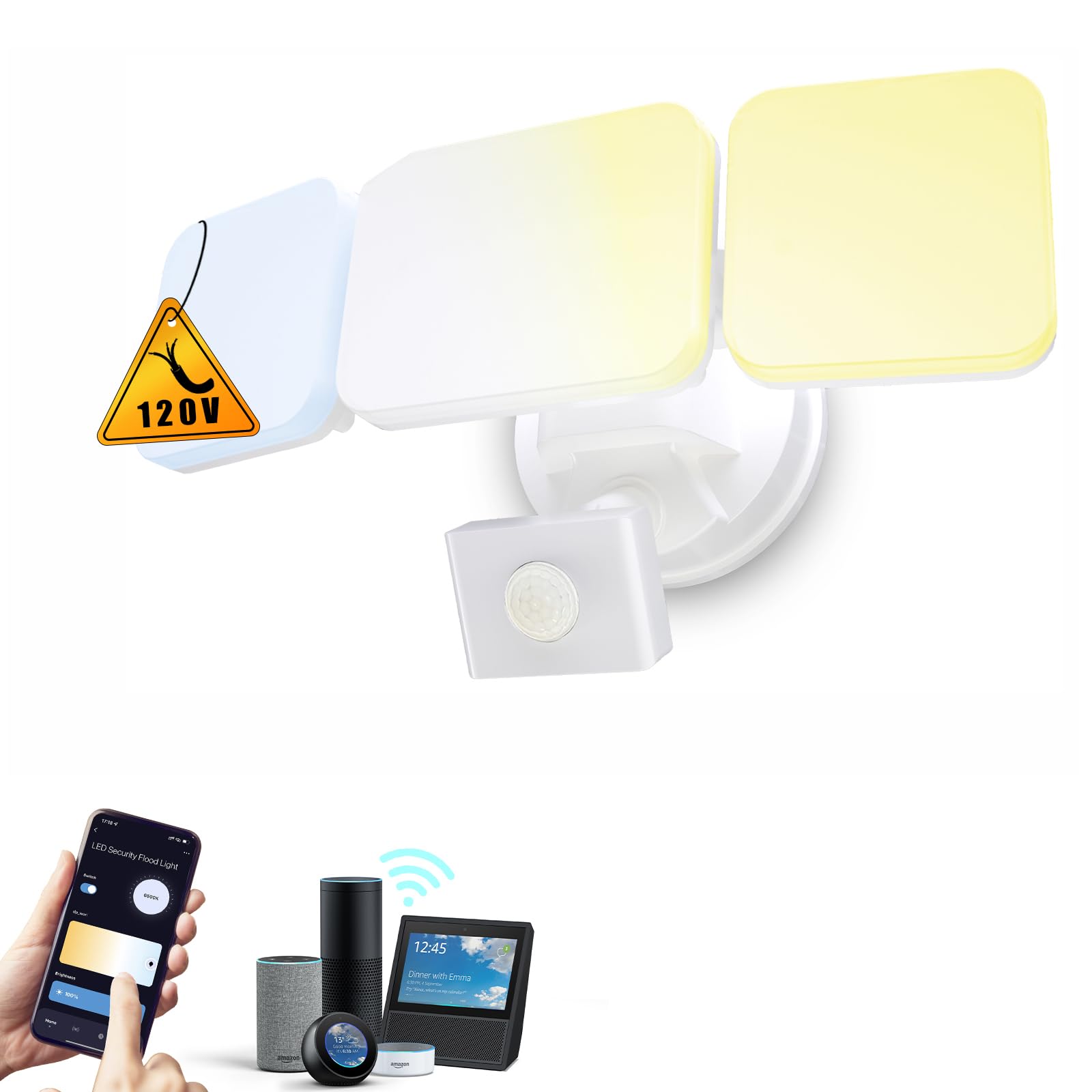 EMANER Smart Security Light Motion Sensor, Compatible with Alexa/Google ...