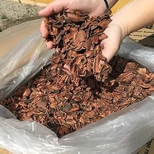 Amazon.com : Pecan Shells : Garden & Outdoor