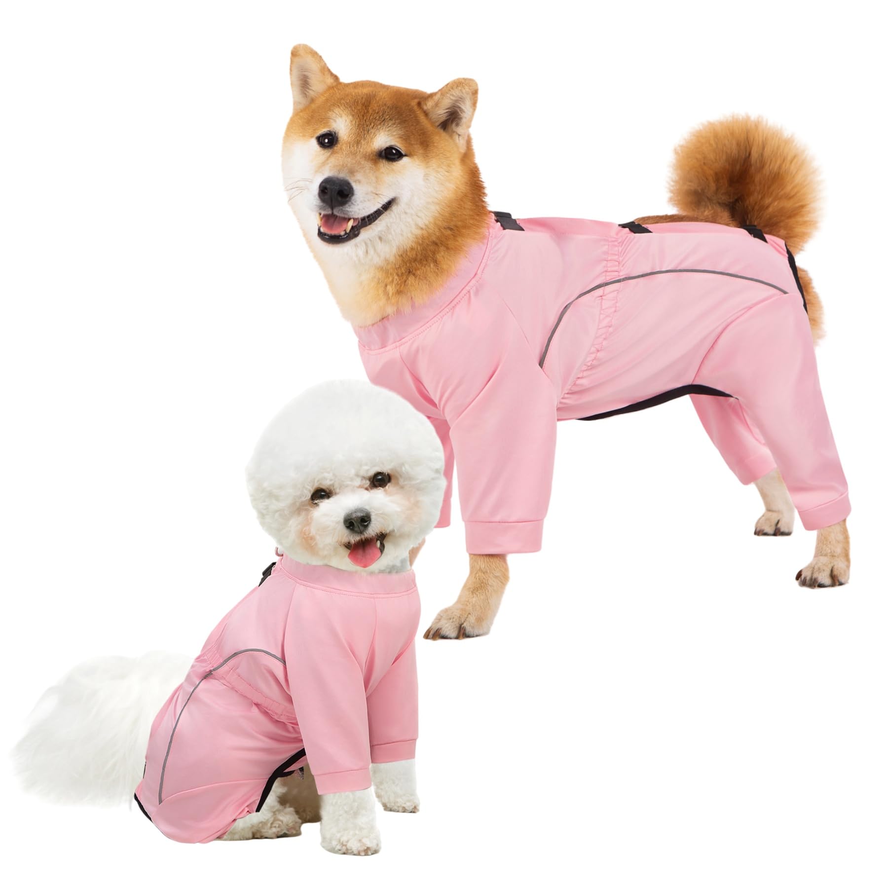 dog | Nellis Auction