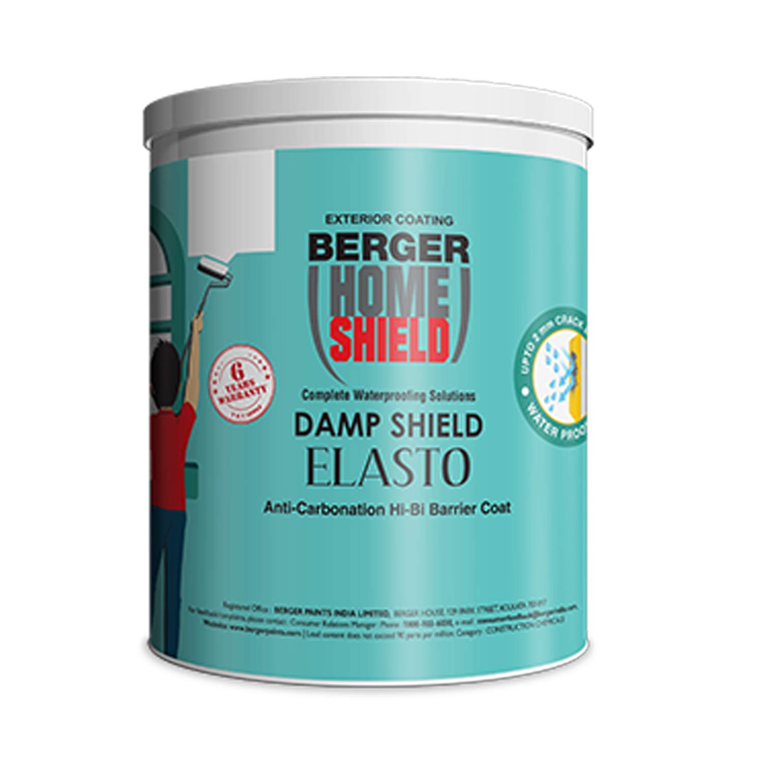 Berger Paints Home Shield Damp Shield Elasto (White, 1 L): Amazon.in ...