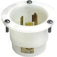 Amazon.com: Leviton 20 Amp, 125 Volt, Flanged Inlet Locking Receptacle ...