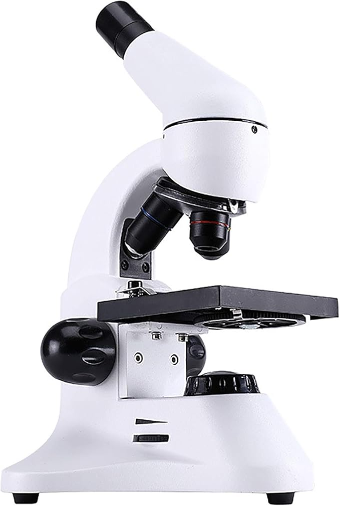 400x Microscope, Portable Optical Biological Microscope, With Specimen ...