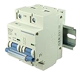 100A, 480V AC, 60V DC, 2 Pole, DIN Rail Mount Miniature Circuit Breaker, Trip Curve: C, UL1077 ...