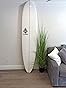 Amazon.com : Paragon Surfboards Performance Mini Log | Fun & Easy to ...