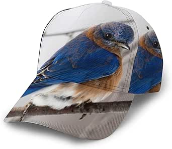 The Blue Bird Baseball Cap Dad Hat Adjustable Trucker Baseball Cap Hat ...