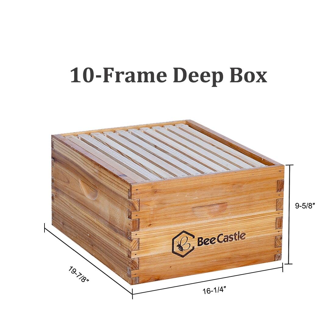Mua BeeCastle 10-Frames Complete Beehive Kit, 100% Beeswax Coated Bee ...
